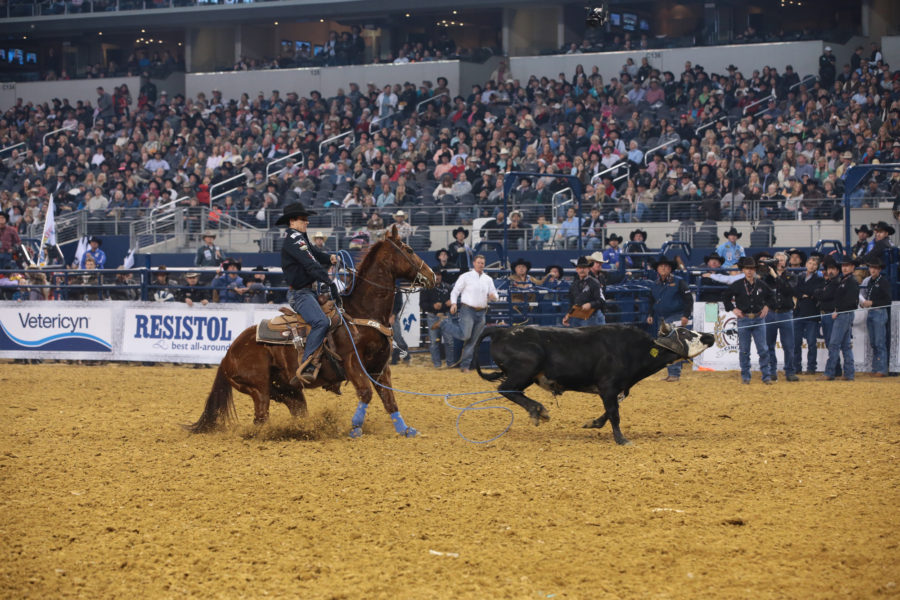 Not Their First Rodeo: Foundation Benefits Western Sports Athletes ...