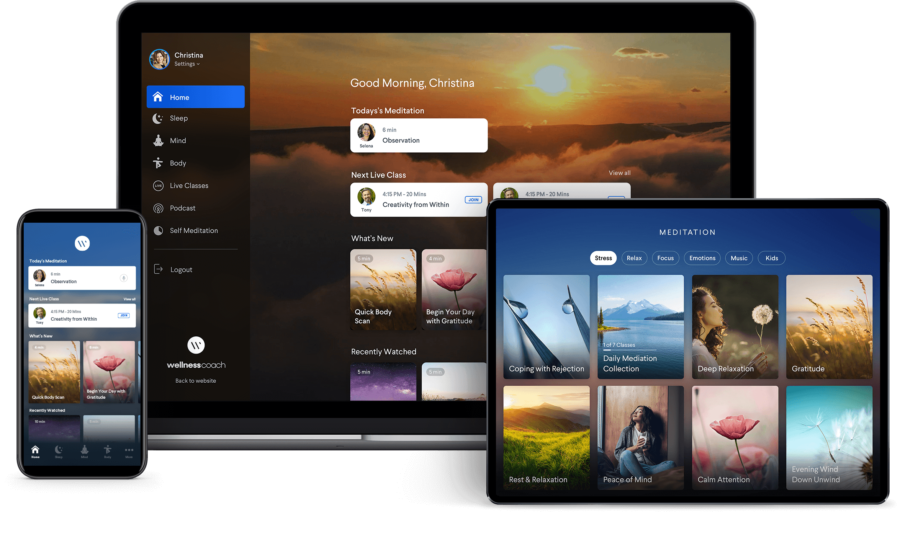 Employee Wellness Index Notes Increase In Stress-Related Class ...